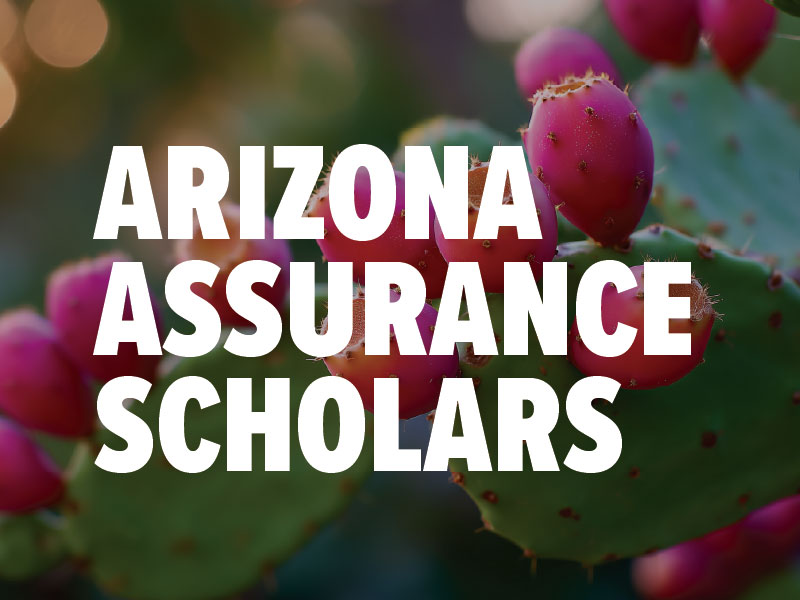 Arizona Assurance Requirements on Cat Cloud | Thrive Center