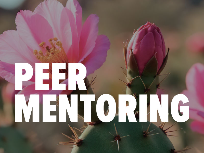 Peer Mentoring October Updates Thrive Center